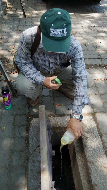 NCKU develops bacillus thuringiensis israelensis to better mosquito ...